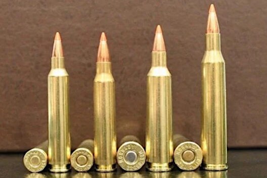 9 Fastest Bullet Velocity Rifle Cartridges on the Market Today ...