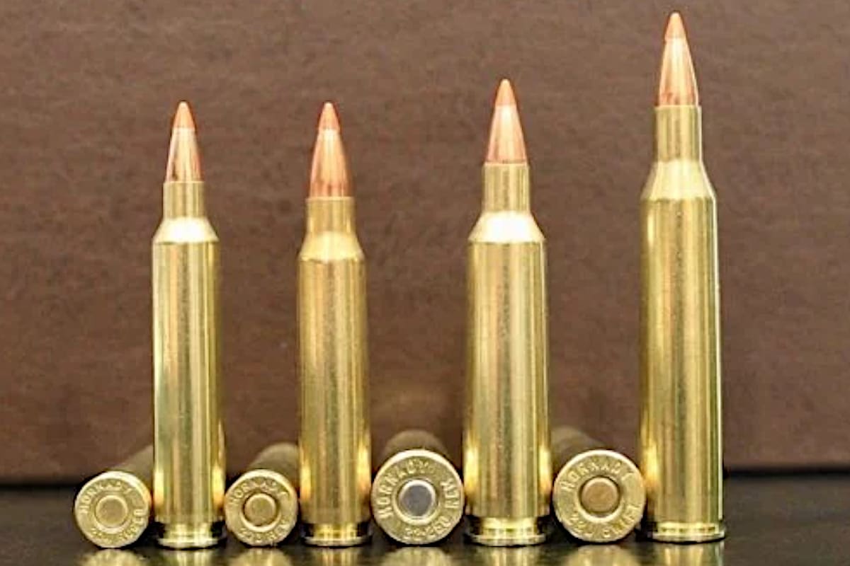 9 Fastest Bullet Velocity Rifle Cartridges on the Market Today ...