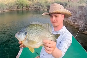 Angler Catches Unbelievably Fat Redear Sunfish From a Dock - Outdoor ...