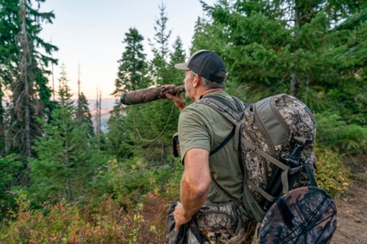Elk Sounds and What They Mean When You Hear Them - Outdoor Enthusiast ...