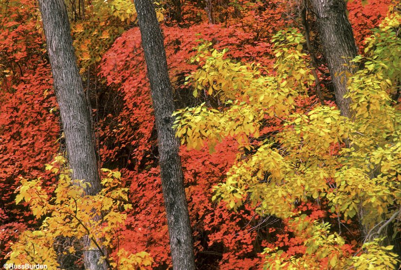 Fall Foliage Photo Tips - Outdoor Enthusiast Lifestyle Magazine