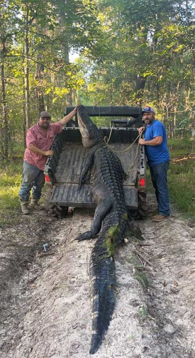Texas Man Tags 13-Foot Alligator in Season’s Opening Week - Outdoor ...