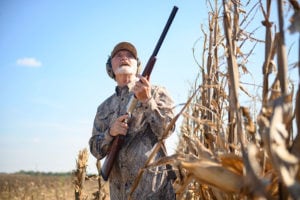 Top 10 States for Your Dove Hunting Bucket List - Outdoor Enthusiast ...