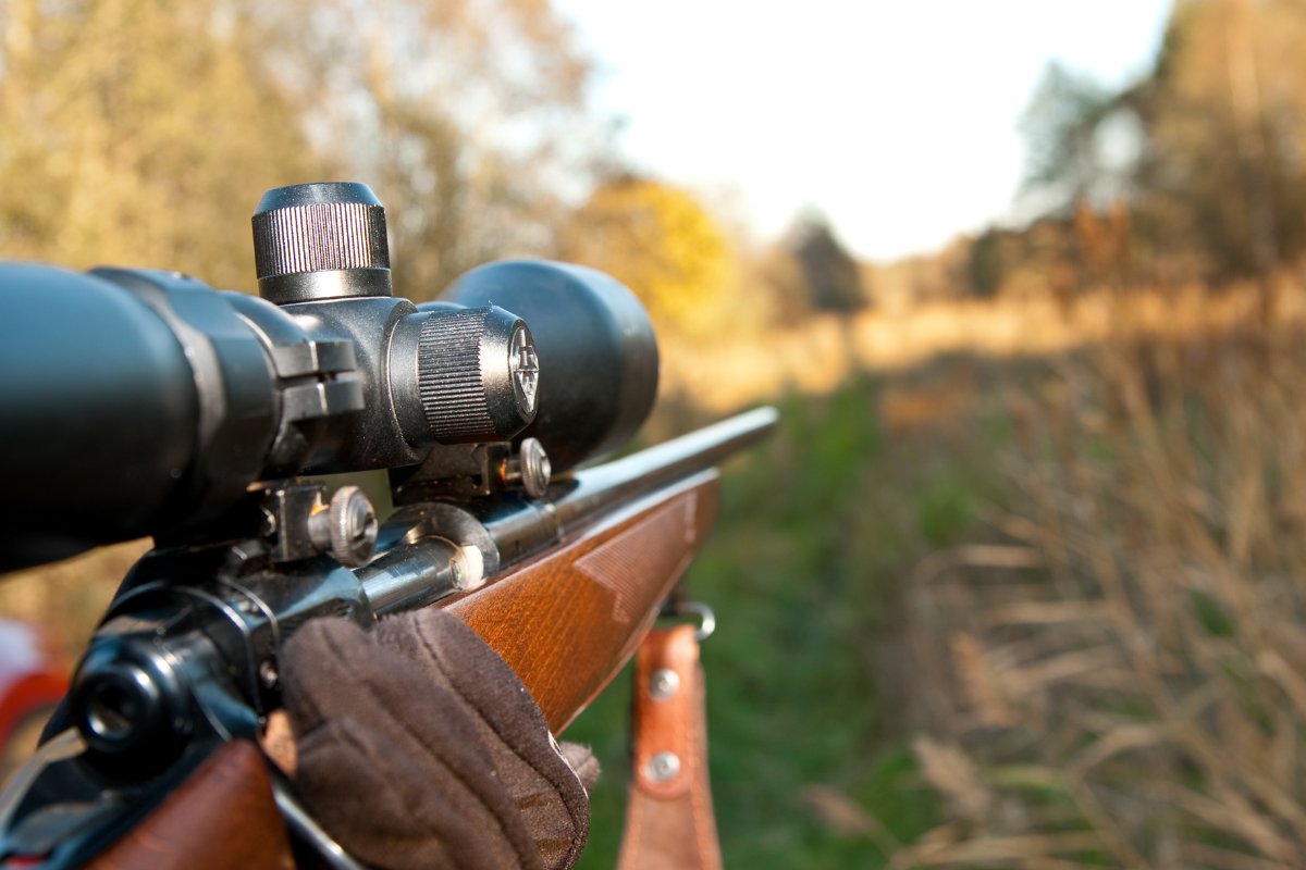 Save Up for These 5 Expensive (But Awesome) Rifle Scopes - Outdoor ...