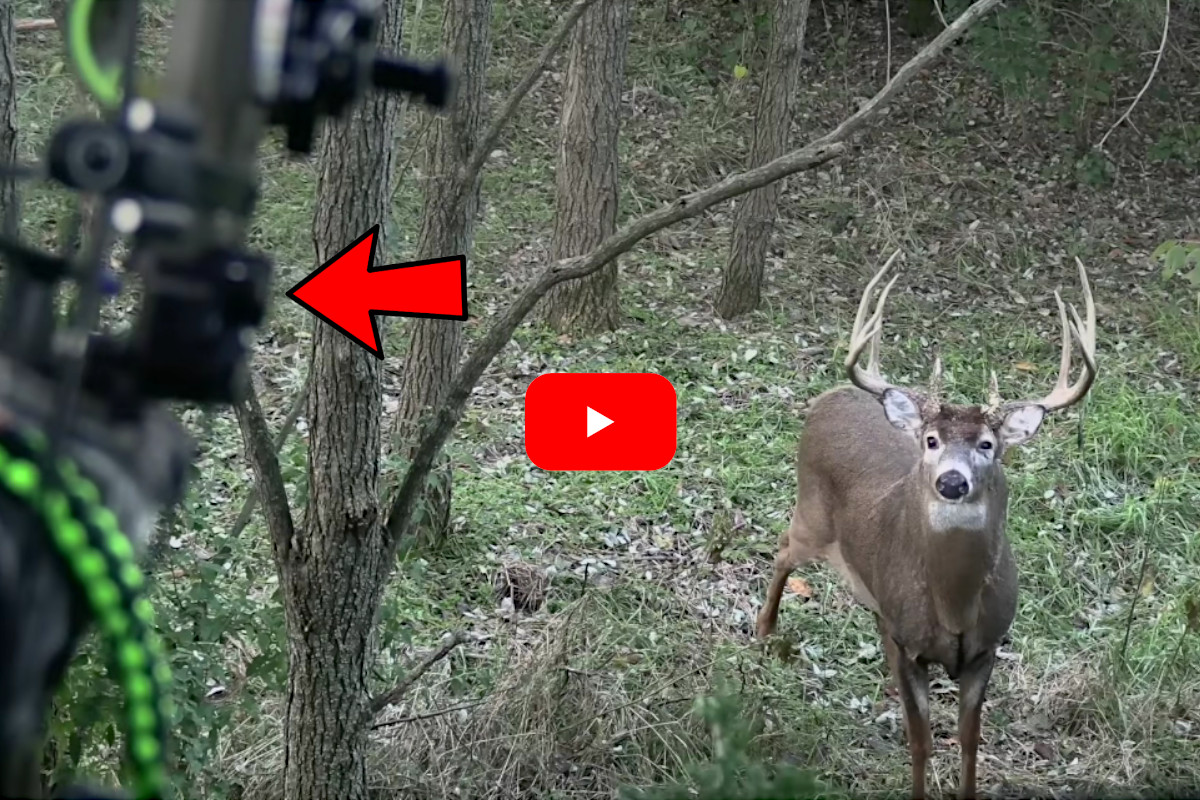 Bowhunter Makes Perfect Shot on Giant, 180-Inch Illinois Buck - Outdoor ...