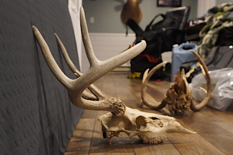 Identifying a 120-Class Whitetail Deer is Easier Than You Think ...