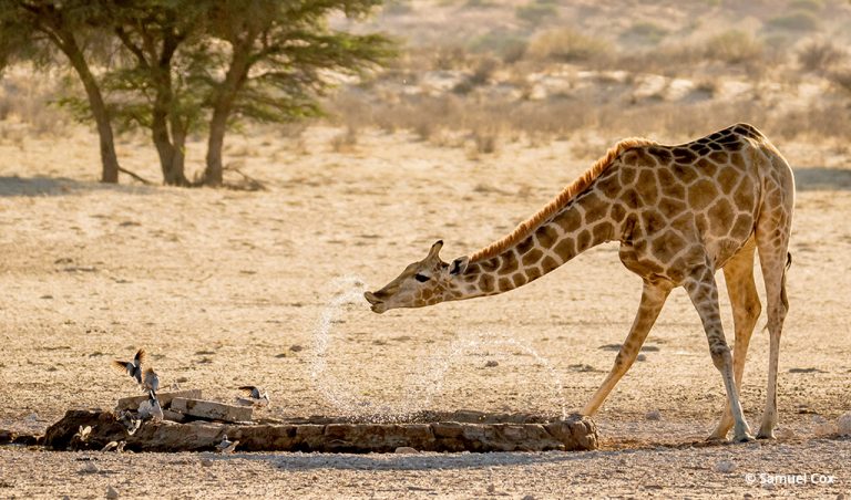 Last Frame: Making A Splash - Outdoor Enthusiast Lifestyle Magazine