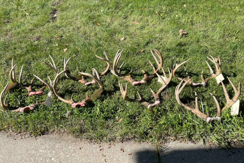 Poachers vs. Hunters – Let’s Get the Terminology Correct - Outdoor ...