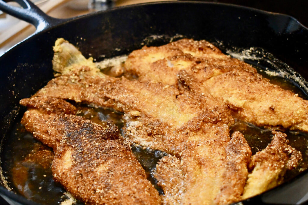 Freshwater Fish Have Extremely Unsafe ‘Forever Chemical’ PFA Levels ...