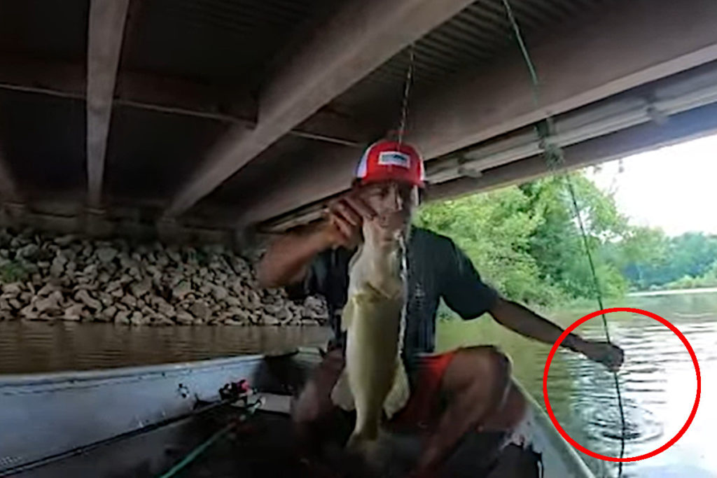 Bass Fisherman Unknowingly Drops Rod and Reel Overboard While Landing ...