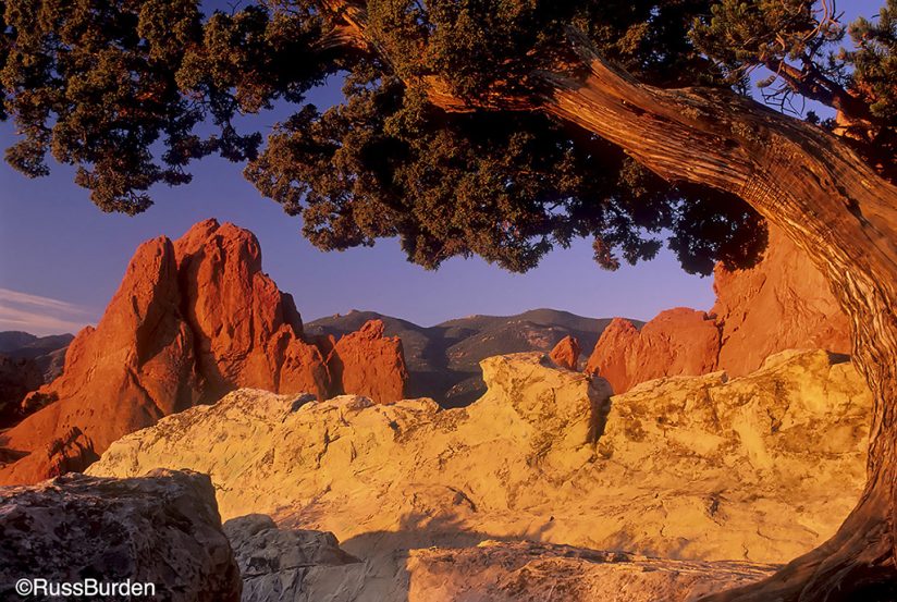 Critically Sharp Captures - Outdoor Enthusiast Lifestyle Magazine